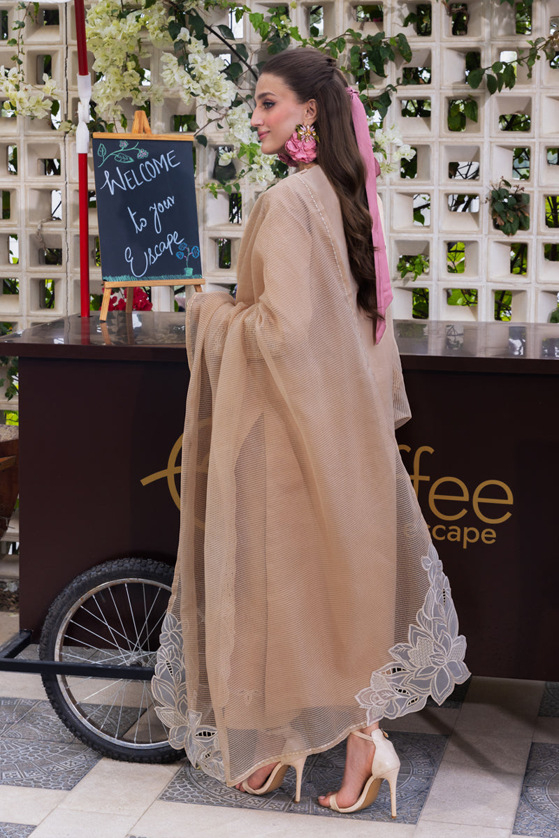 Kaia – Rang Rasiya International